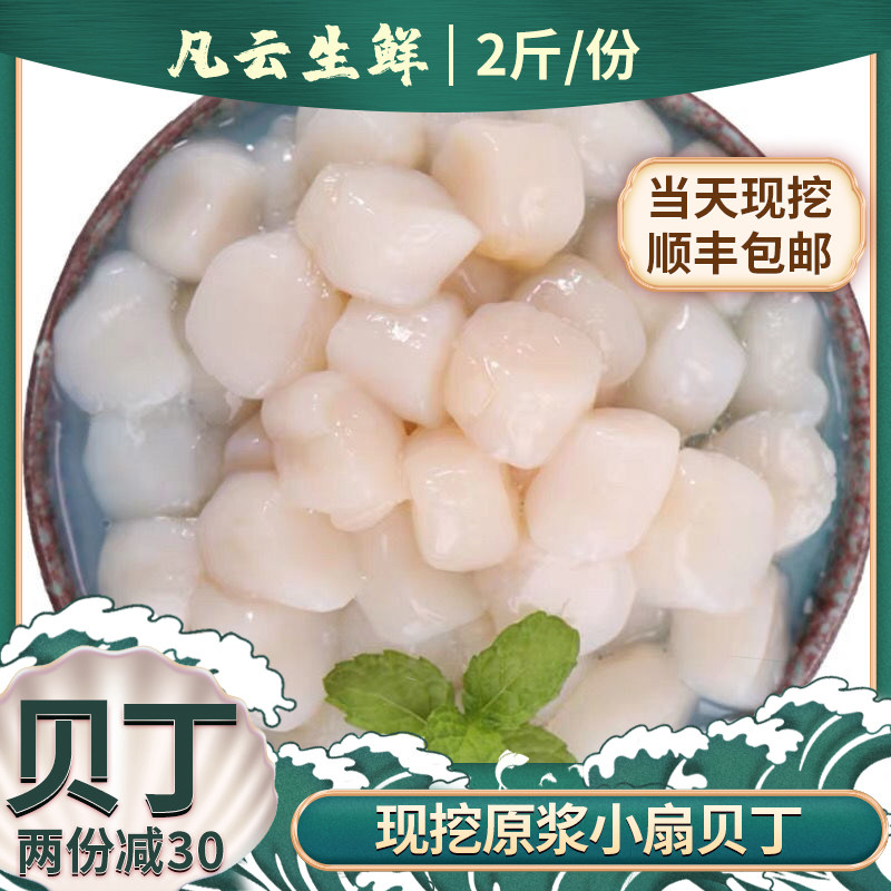 原浆扇贝丁新鲜大连瑶柱扇贝柱非干货冷冻带子肉海鲜海鲜水产贝类