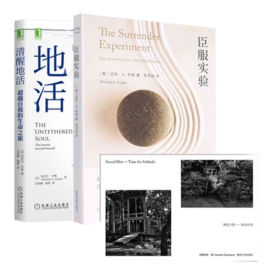 臣服实验+清醒地活 共两册 迈克·A.辛格著 不羁的灵魂的作者真真实的人生故事 清醒 觉察 自我 平和 喜悦 幸福 自我励志书籍