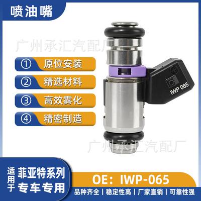 工厂IWP菲亚特适用专用现货喷油嘴燃油派力奥喷射器直销专车-065