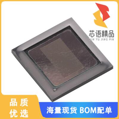 全新AR0230CSSC00SUEA0-DRBR原装(IMAGE SENSOR)正品