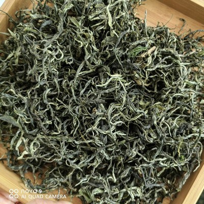 当季新茶韶关特产乐昌高山绿茶白毛茶散装春茶