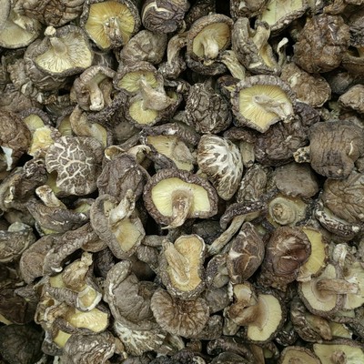 2024年韶关特产深山木头冬菇香菇干货散装