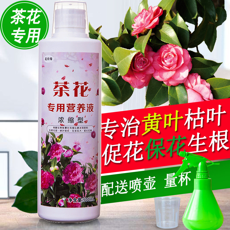 茶花营养液茶花专用肥料山茶花肥茉莉花杜鹃栀子花复合肥盆栽花肥