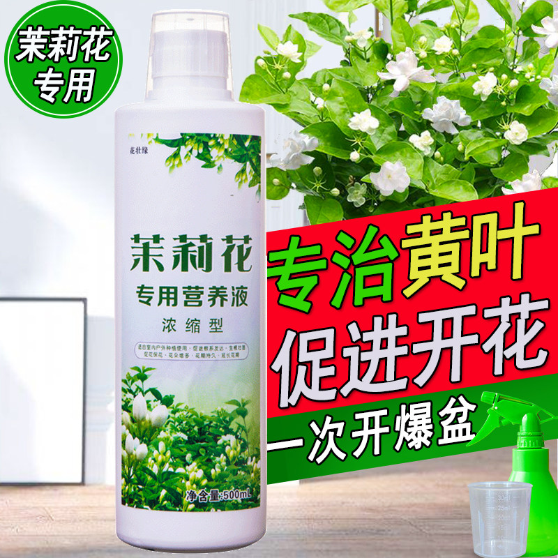茉莉花营养液茉莉花肥料专用肥盆栽酸性花肥栀子花土非洲化肥酸性