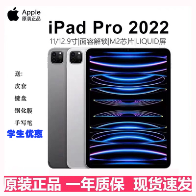 Apple/苹果 11 英寸 iPad Pro2020款/21款/22款/24款13寸平板电脑