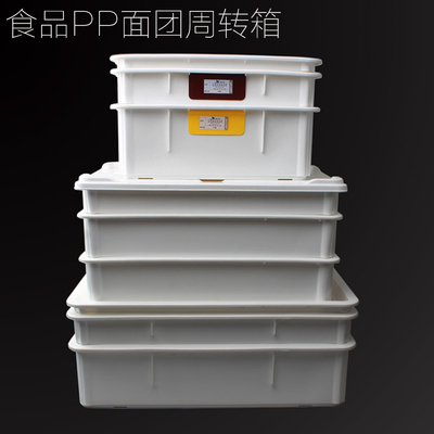 dough披萨周转箱面团白色存储