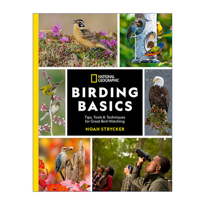 英文原版 National Geographic Birding Basics 美国国家地理观鸟基本指南 观鸟技巧 工具与技术 Noah Strycker 英文版 进口书籍