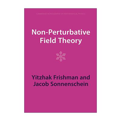 英文原版 Non-Perturbative Field Theory 非微扰场论 从二维共形场论到四维量子色动力学 剑桥数学物理学专著 进口英语原版书籍