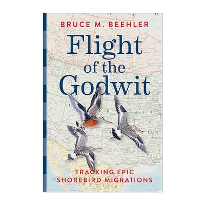 英文原版 Flight of the Godwit 神鸟的飞行 追踪史诗般的滨鸟迁徙 精装插图版 史密森尼 Bruce M. Beehler 进口英语原版书籍
