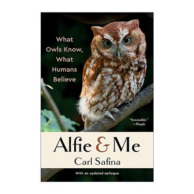 英文原版 Alfie and Me 阿尔菲和我 猫头鹰知道的和人类相信的 无言的呼唤作者卡尔·沙芬纳 英文版 进口英语原版书籍