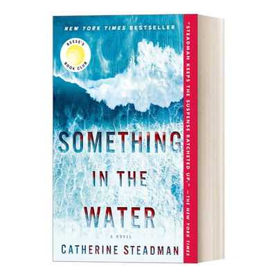 英文原版小说 Something in the Water 水下有东西 神秘心理惊悚小说 Catherine Steadman 英文版 进口英语原版书籍