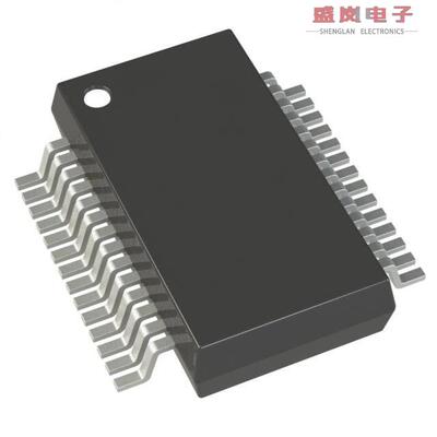 原装正品WM8766GEDS/RV[IC DAC/AUDIO 24BIT 192K 28SSOP]