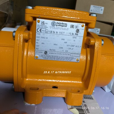 电机ITALVIBRASMVSI3/100-S02