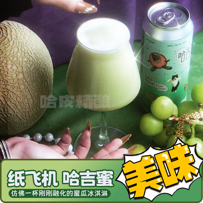 纸飞机 哈吉密/超个体/酸声道三倍水果酸艾尔精酿啤酒