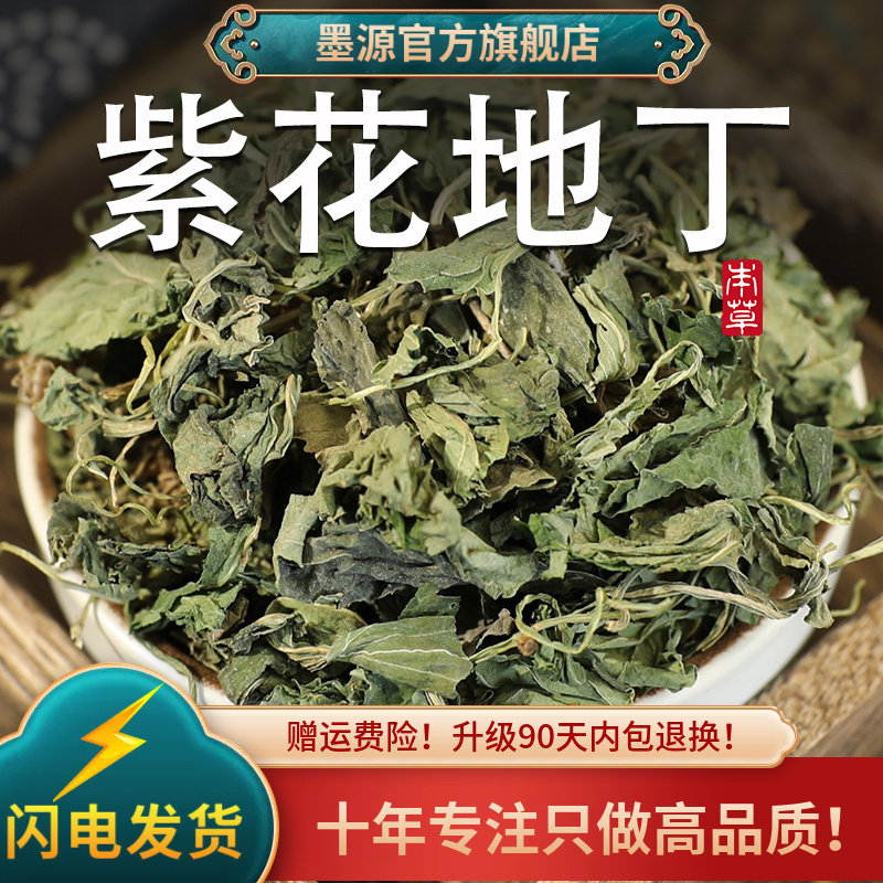 紫花地丁中药材新鲜紫花地丁草紫花地丁茶地丁草中草药干货可打粉