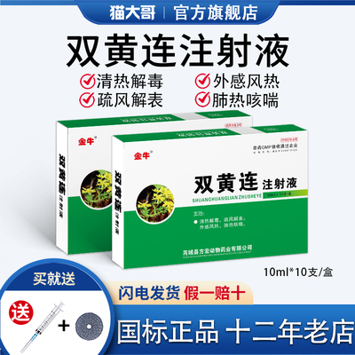 双黄连注射液兽用针剂清热退烧药