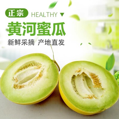 银蒂蜜瓜保质保量新鲜发货