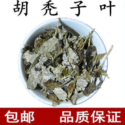 中药材 胡秃子叶 蒲颓叶 胡颓子叶 胡颓叶 野生正品