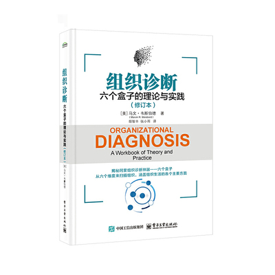 组织诊断：六个盒子的理论与实践（修订本）