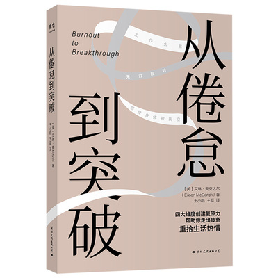 当当网 从倦怠到突破【四大维度创建复原力，帮助你走出疲惫，重拾生活热情】 艾琳·麦克达尔 国际文化出版公司 正版书籍