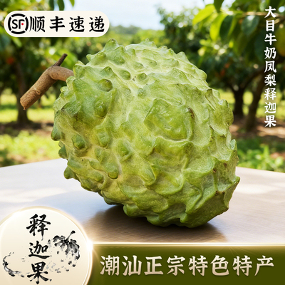 现摘潮汕凤梨释迦果佛头果礼盒装