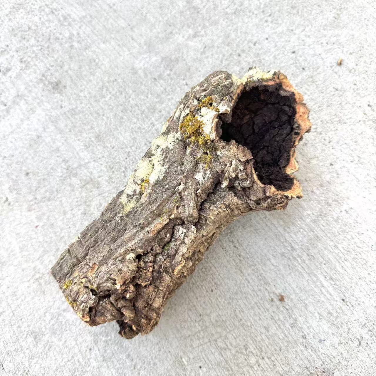 葡萄牙进口实心软木圆木雨林缸鱼缸造景骨架树洞鬃狮守宫爬宠躲避