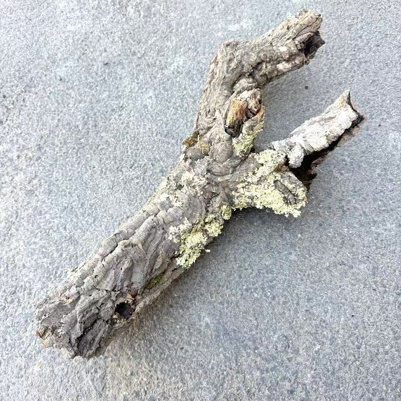 葡萄牙软木进口树枝树皮爬宠箱爬虫箱天然树洞造景躲避鱼缸雨林缸