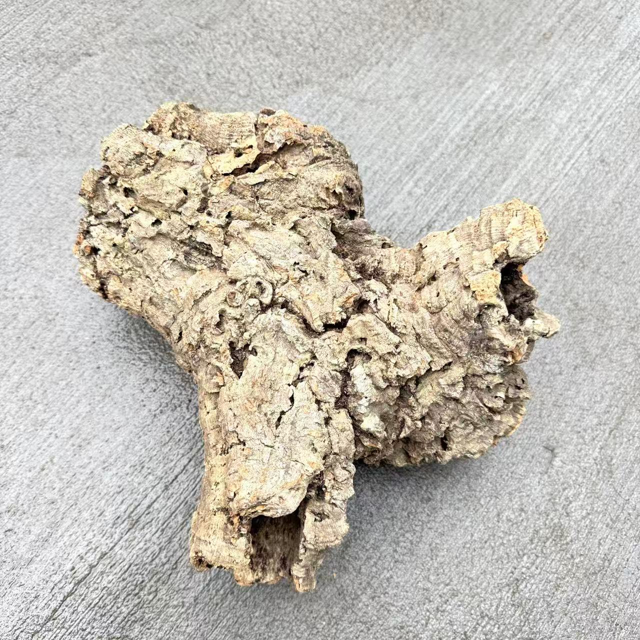 葡萄牙进口软木原木圆木爬宠蜥蜴守宫躲避天然树洞树桶造景雨林缸