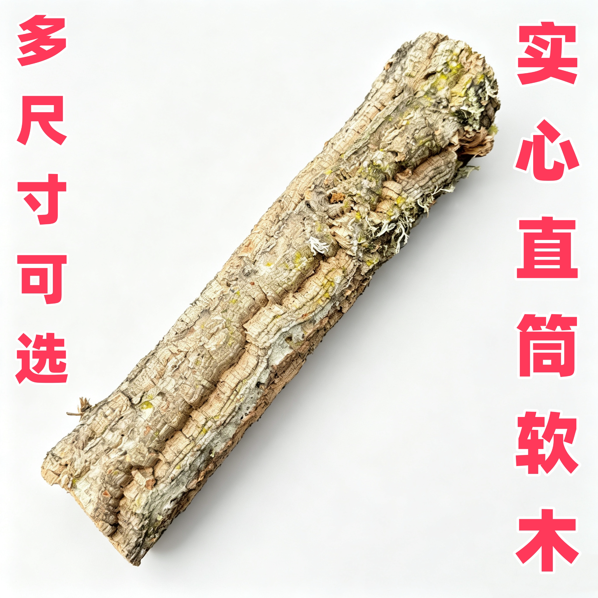 葡萄牙软木爬宠造景天然树枝杈躲避洞穴虫蛇鬃狮蜥蜴睫角守宫攀爬