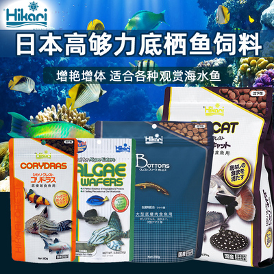日本进口胡子鼠鱼饲料