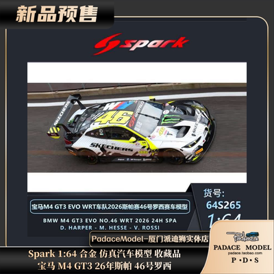 宝马M4GT326年斯帕46号罗西
