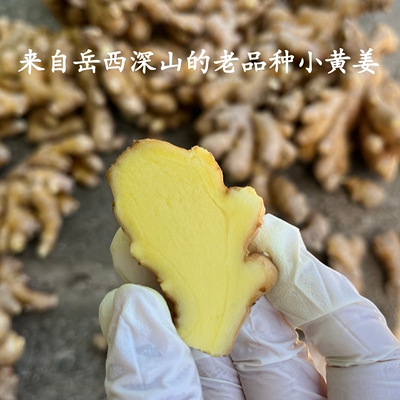 带皮姜丝老品种小黄姜自然晒干