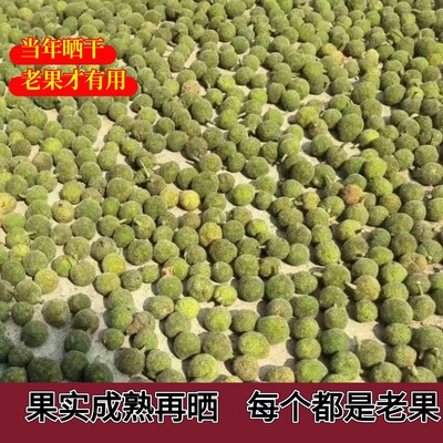四川野生构树果子当年新货