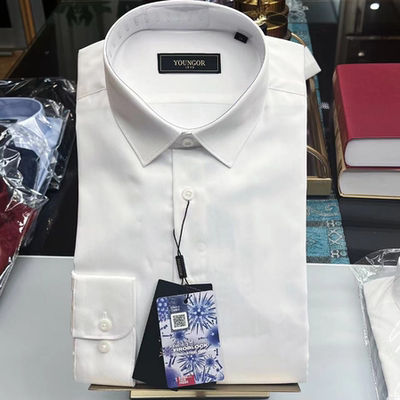 雅戈尔上班修身纯色免烫长袖衬衫