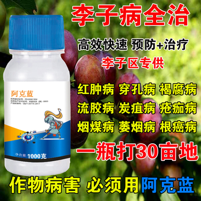 李子病全治细菌性穿孔病溃疡病