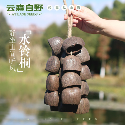 云森自野果壳手摇铃风铃水铃桐天然手工挂铃溪水沙龙乐器疗愈礼物