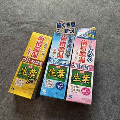日本小林制药齿槽脓漏生叶牙膏/漱口水330ml牙周修护护龈健齿