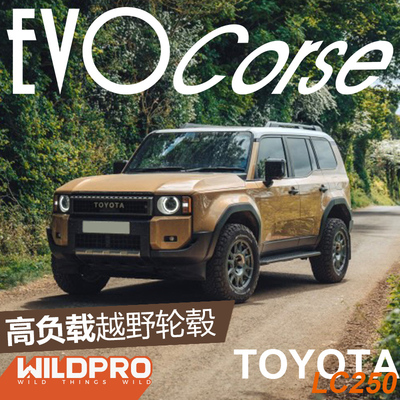 EVOCorse达喀尔18寸轮毂