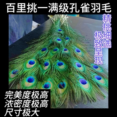 云南百里挑一天然真孔雀羽毛