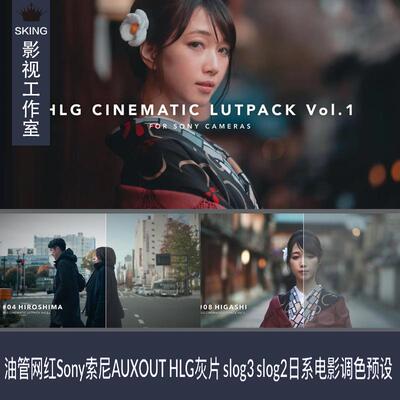 fcpx油管网红sony索尼auxout hlg灰片slog3slog2日系电影调色预设