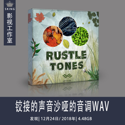 Articulated Sounds铰接的声音沙哑的音调WAV-DISCOVER