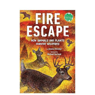 【预售】火灾逃生：动植物如何在野火中生存 Fire Escape: How Animals and Plants Survive Wildfires 原版英文儿童绘本 善本图书