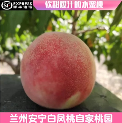 白凤桃水蜜桃兰州香甜多汁