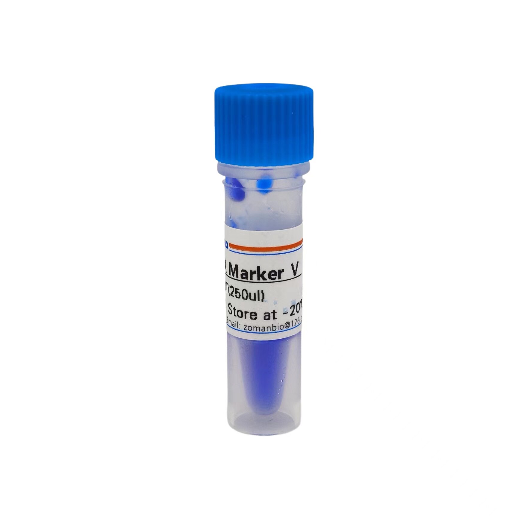 DNA Marker V DNA Ladder