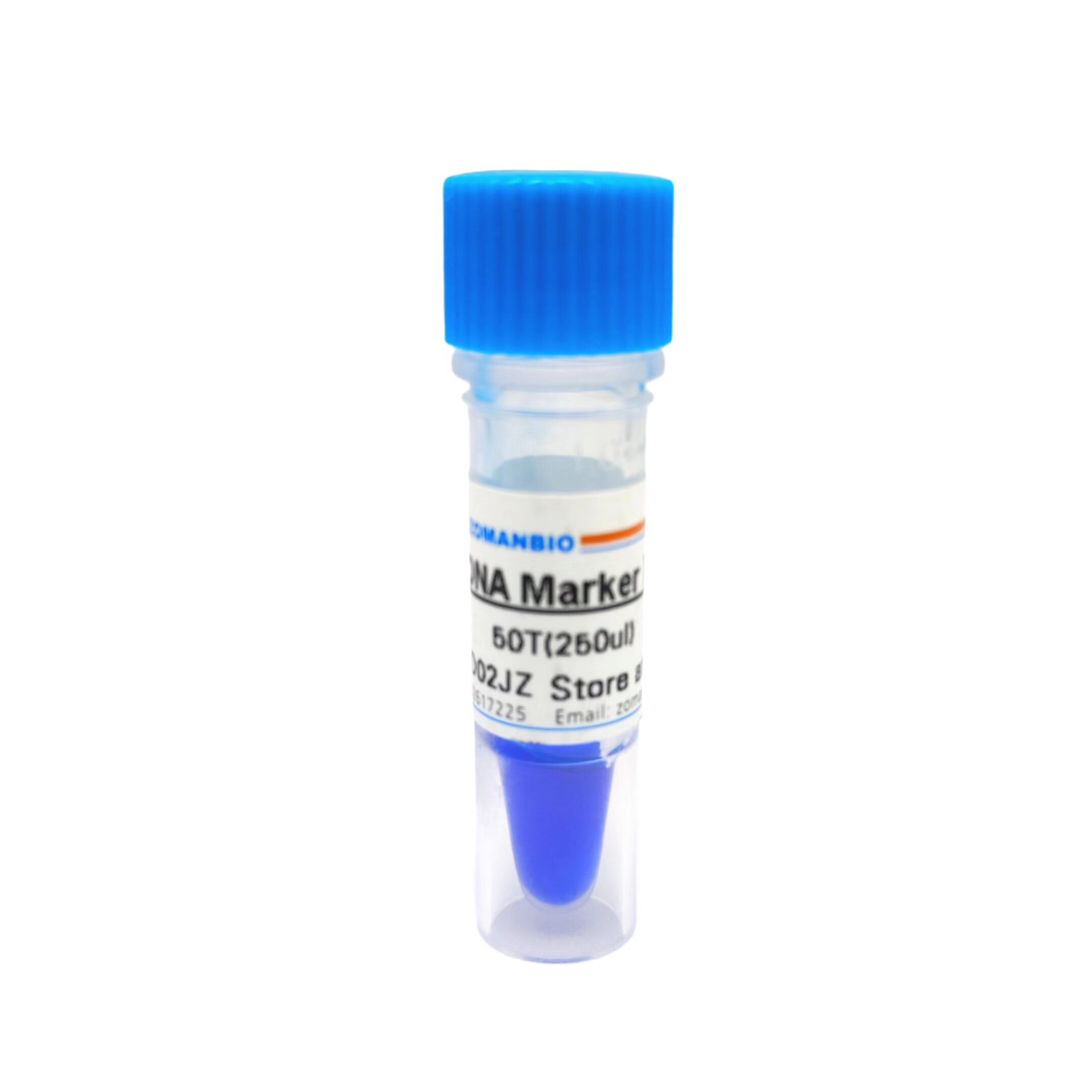 DNA Marker III DNA Ladder
