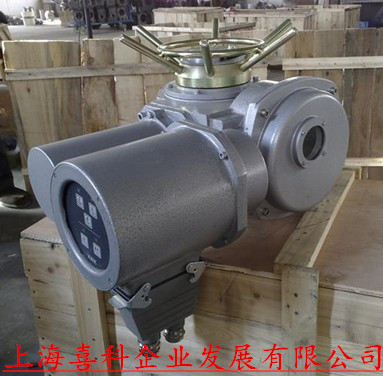 DZW+WK型智能一体化电动装置电动执行器