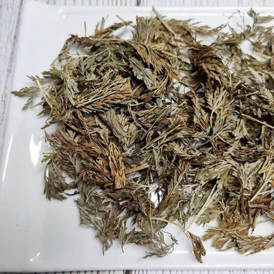中药材乌蕨 乌韭别名金粉蕨大叶金花草小金芯草小鸡尾草细叶凤尾