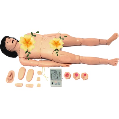 佳悦科教通模型人口腔护理