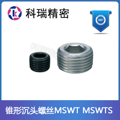 标锥形沉头螺塞MSWT/MSWTS