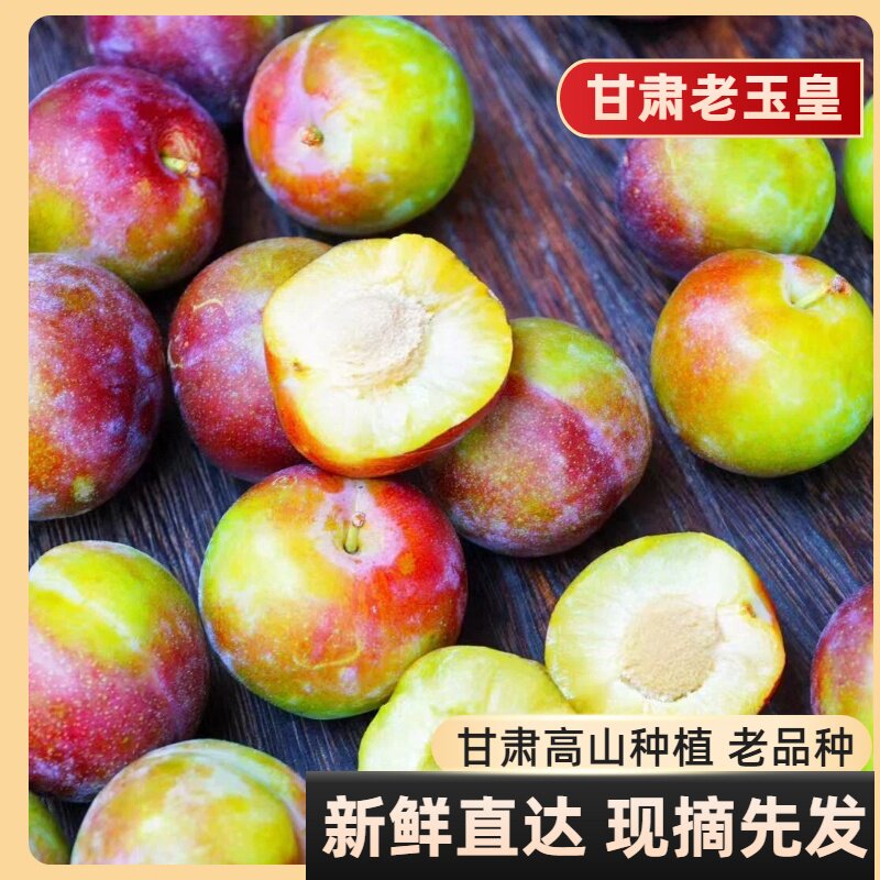 甘肃正宗老品种玉皇李子新鲜水果脆甜多只爽口肉厚应急现摘现发